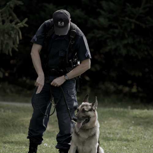 Premium Police Headsets, Earpieces, Lapel Mics | Sheepdog Microphones